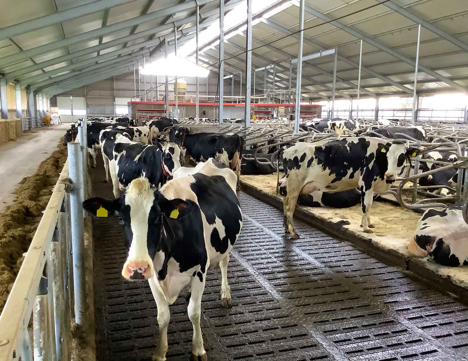 Engeldot Technische Groothandel